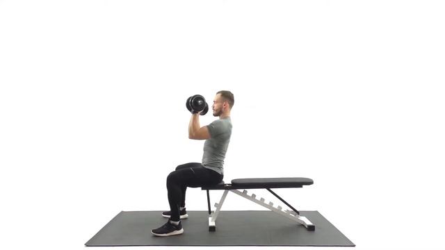 #15 Жим Арнольда сидя. Упражнение на плечи. Техника выполнения.