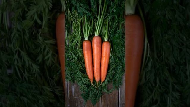 С какими продуктами полезно кушать мёд.