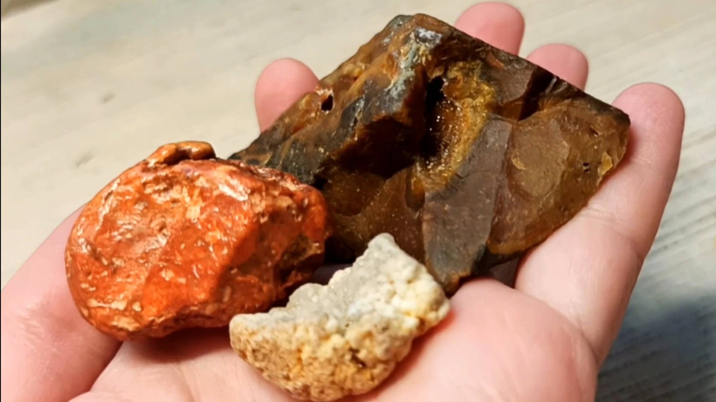 В парк за камнями: агаты, халцедоны, друзы кварца, красный окаменелый коралл