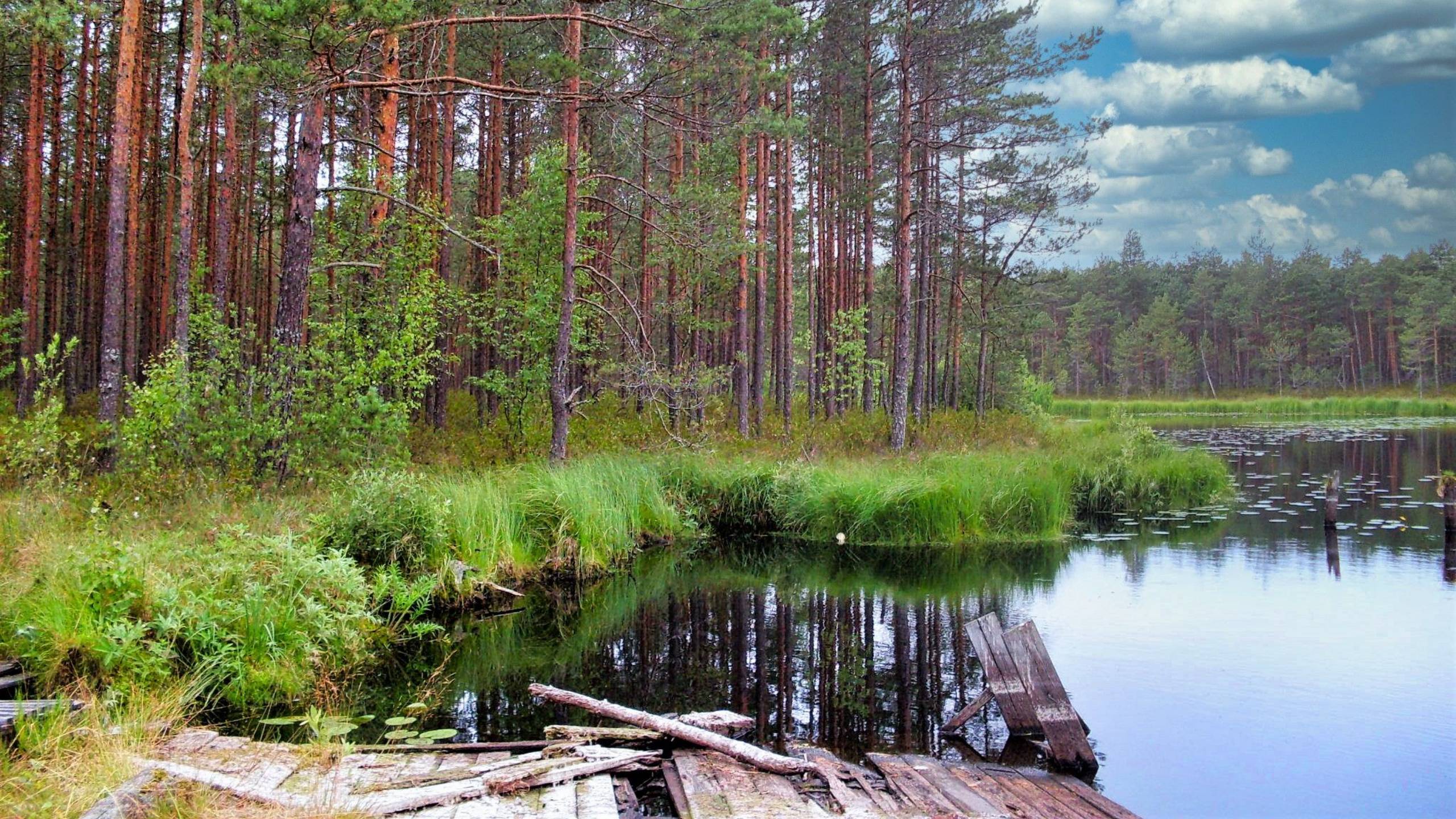 Сплин - Романс