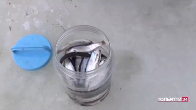 «Рыбацкие байки» 12.04.2024