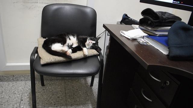 Сижу с напарником на работе.