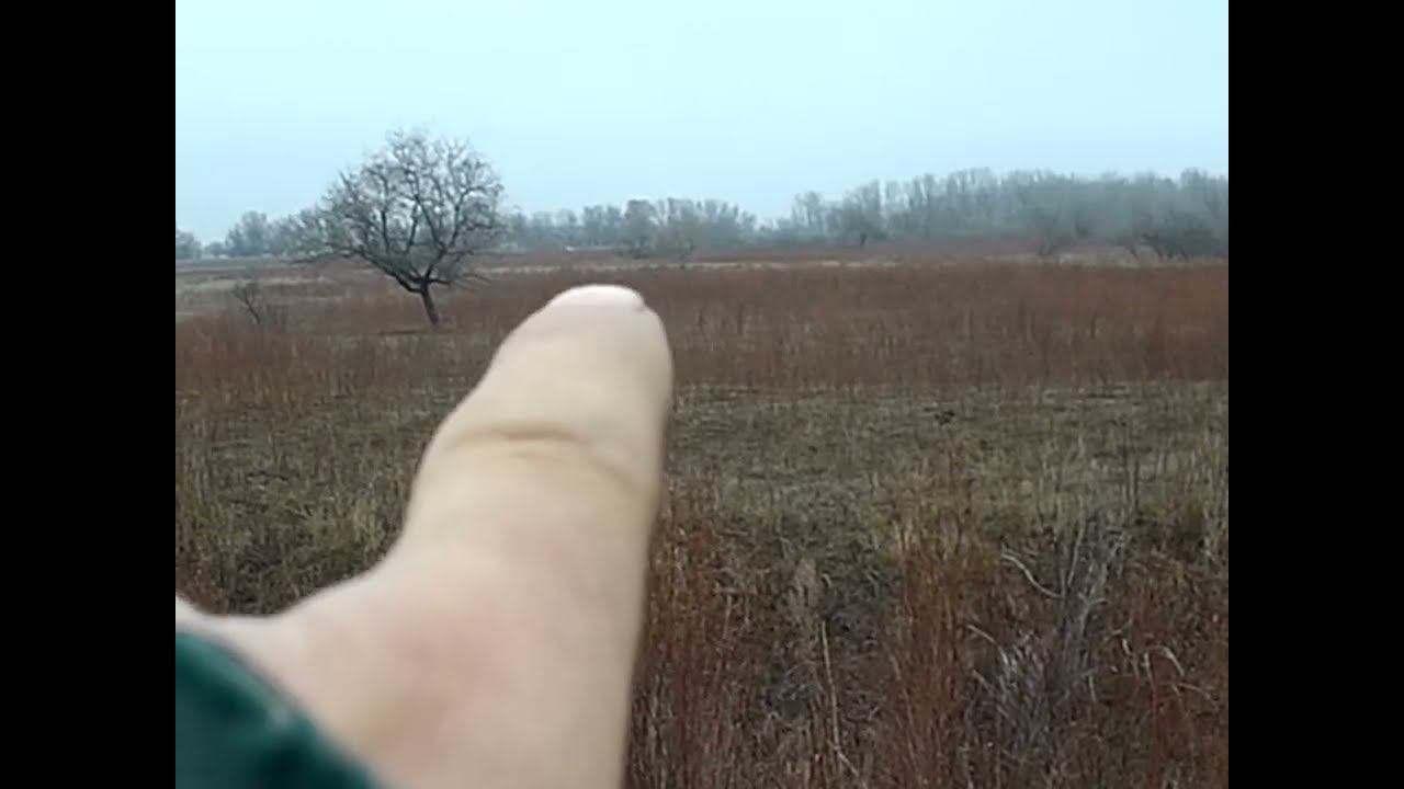 25.12.2024 ЧТО ДЕЛАТЬ? : ЛПХ В ОПАСНОСТИ