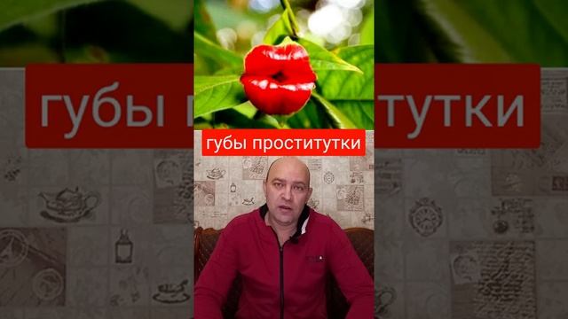 #shorts губы проститутки.