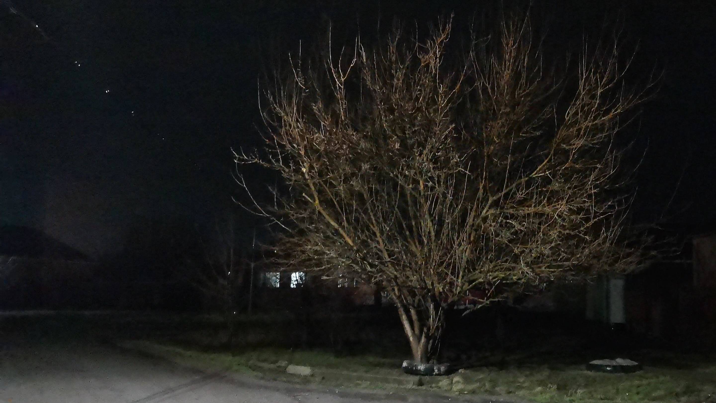 Погода 2025-01-19 Типичная осень зимой