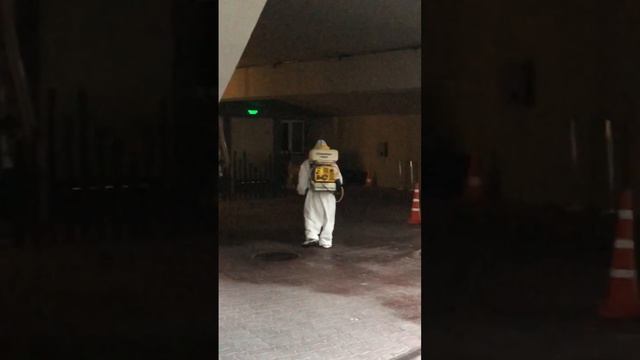 Обработка придомовой территории: дезинсекция от насекомых в Москве и области