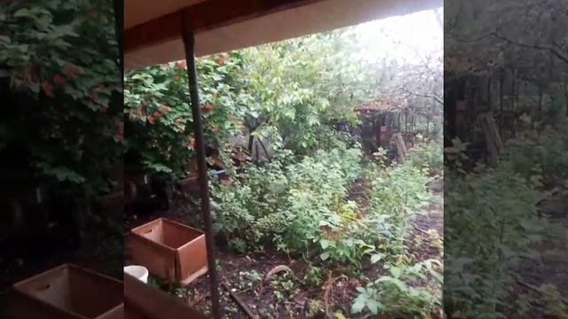 Барматуха Дзамболата Кундухова