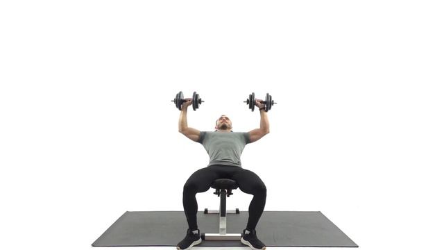 #3 Жим гантелей на наклонной скамье. Верх груди. Техника.