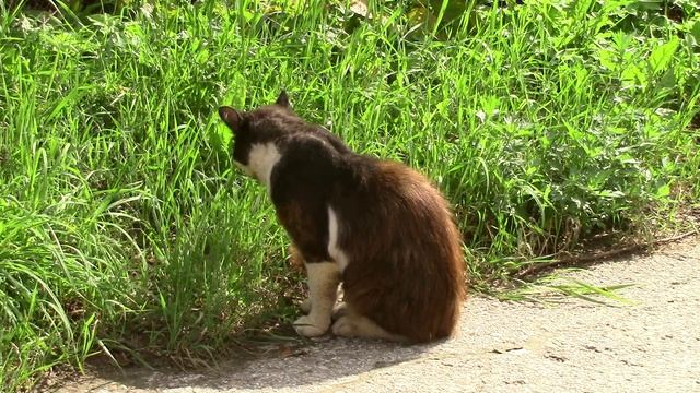 Прием витаминов.