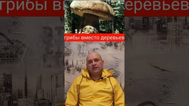 #shorts грибы вместо деревьев