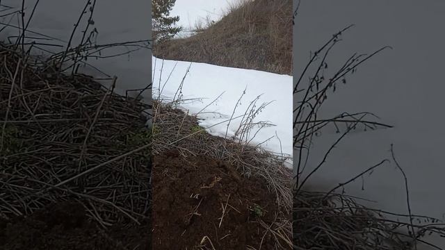 Чётенько открыл сезон по металлокопу