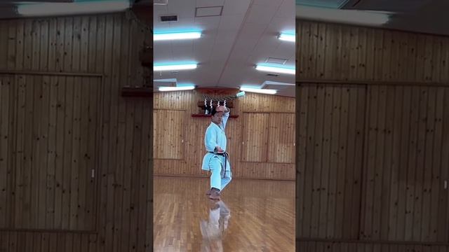 VID_20250117_023056_285