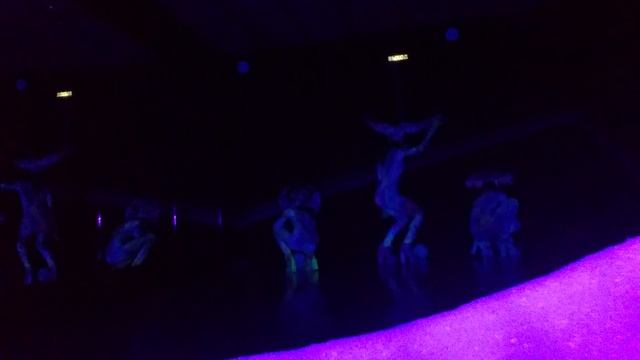 Световое шоу Валерии Лопатиной (Мексика)