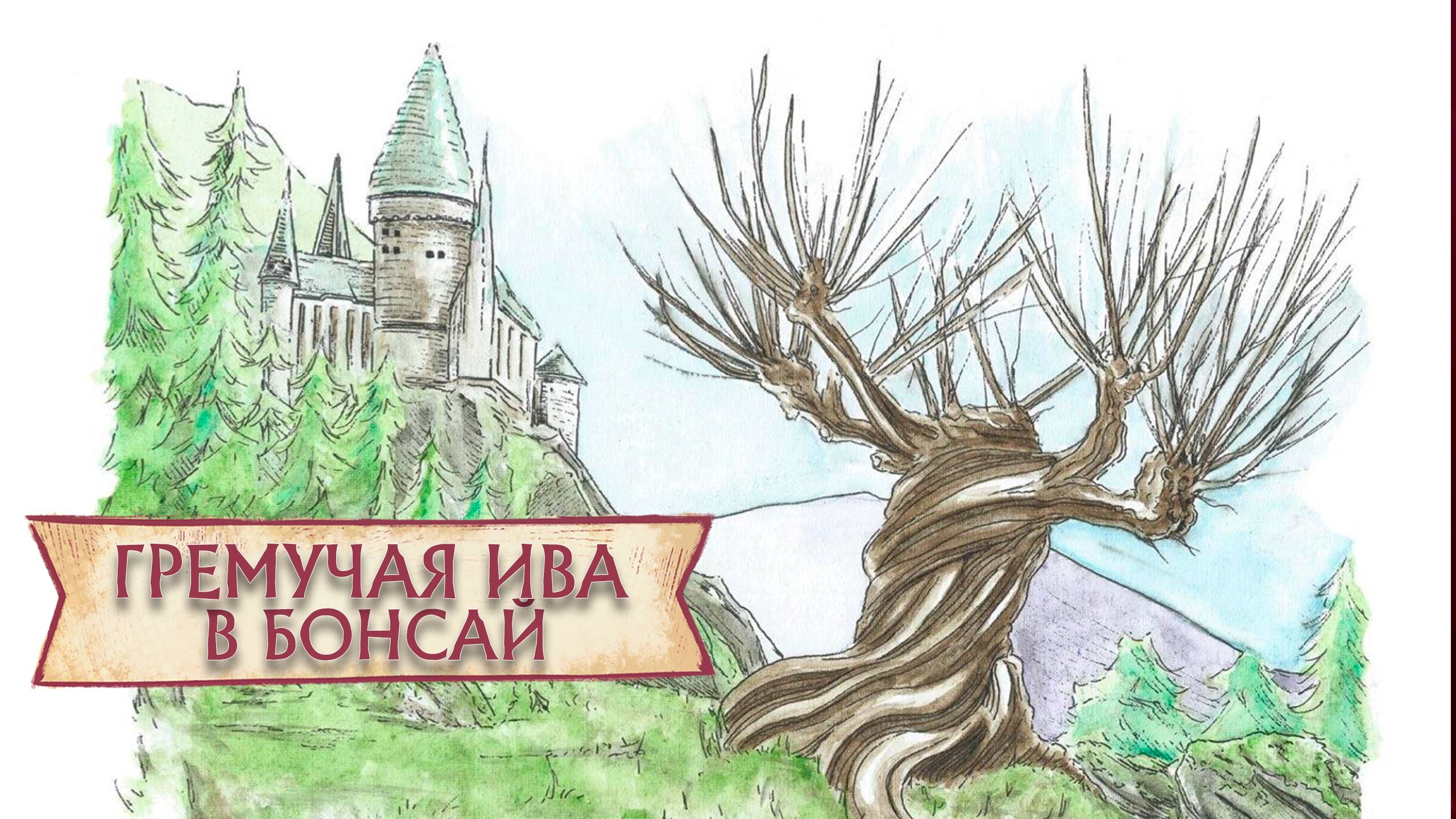 Ива Пурпурная Нана в бонсай / Гремучая Ива из Гарри Поттера