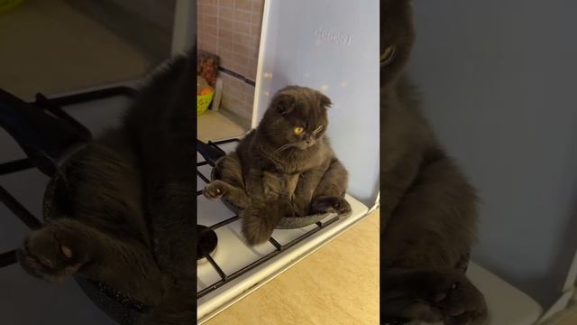 Кто уронил ёлку?