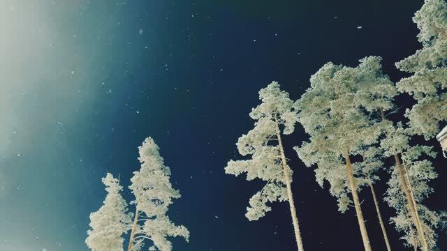 Охта парк  зимой