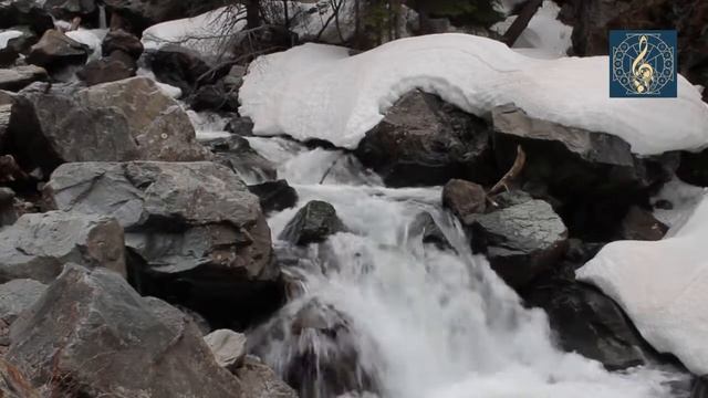 Музыка Ханга. Игорь Лузин