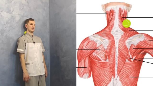 Упражнения при головных болях, остеохондрозе, грыжах, протрузиях. Убирает холку, исправляет осанку
