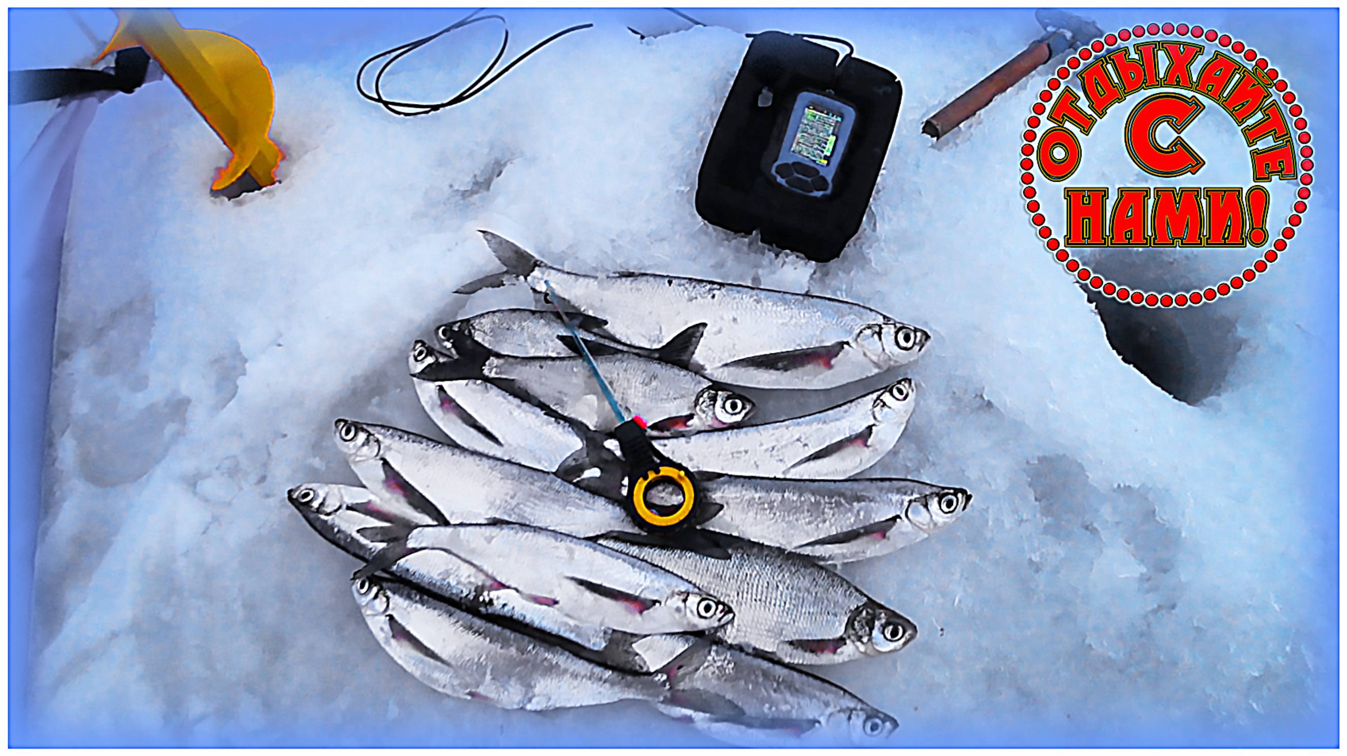 Эта чехонь не дает покоя. Поехал вновь. Рыбалка в палатке.