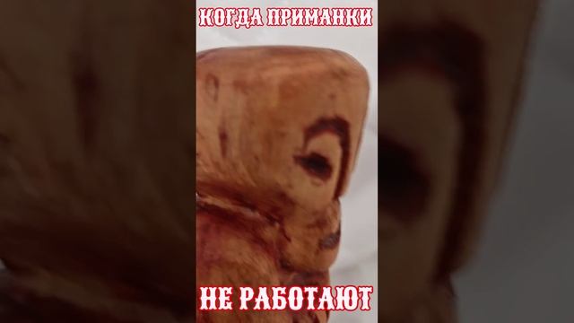 Приманки, вы все говно...