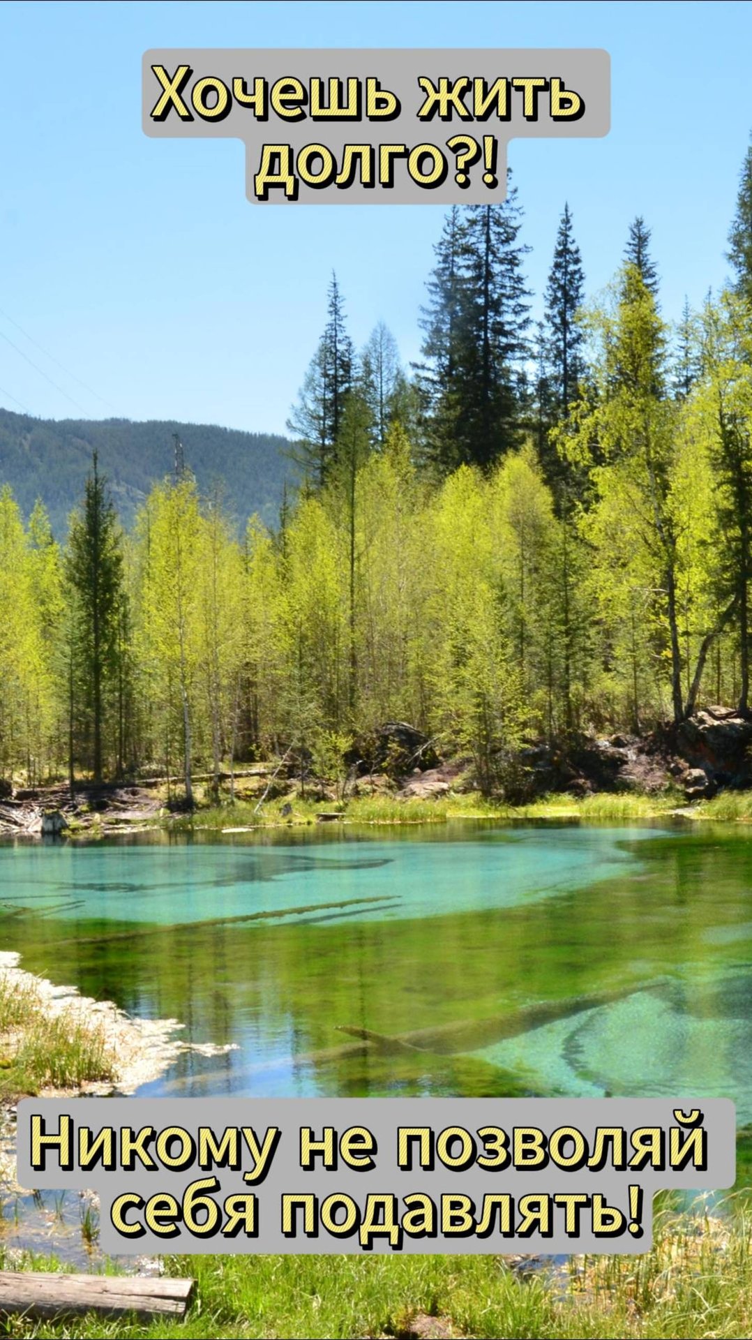 Хочешь жить долго?! Никогда и никому не позволяй себя подавлять!