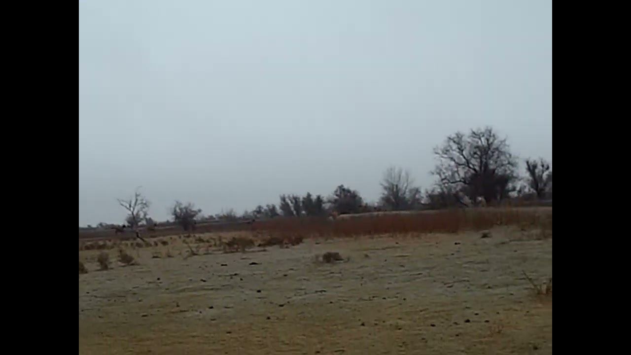 25.12.2024 ЧТО ДЕЛАТЬ? : ЛПХ В ОПАСНОСТИ