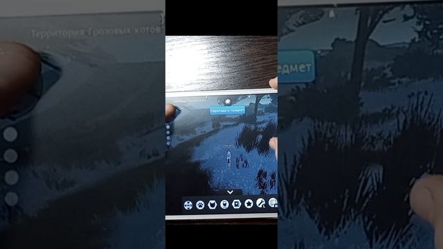 °•Теперь у меня есть заставка•°