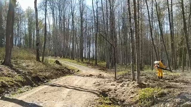 Обработка участка от клещей, комаров, насекомых в Москве и области