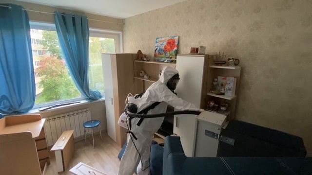 Дезинсекция от клопов: обработка квартиры от насекомых в Москве