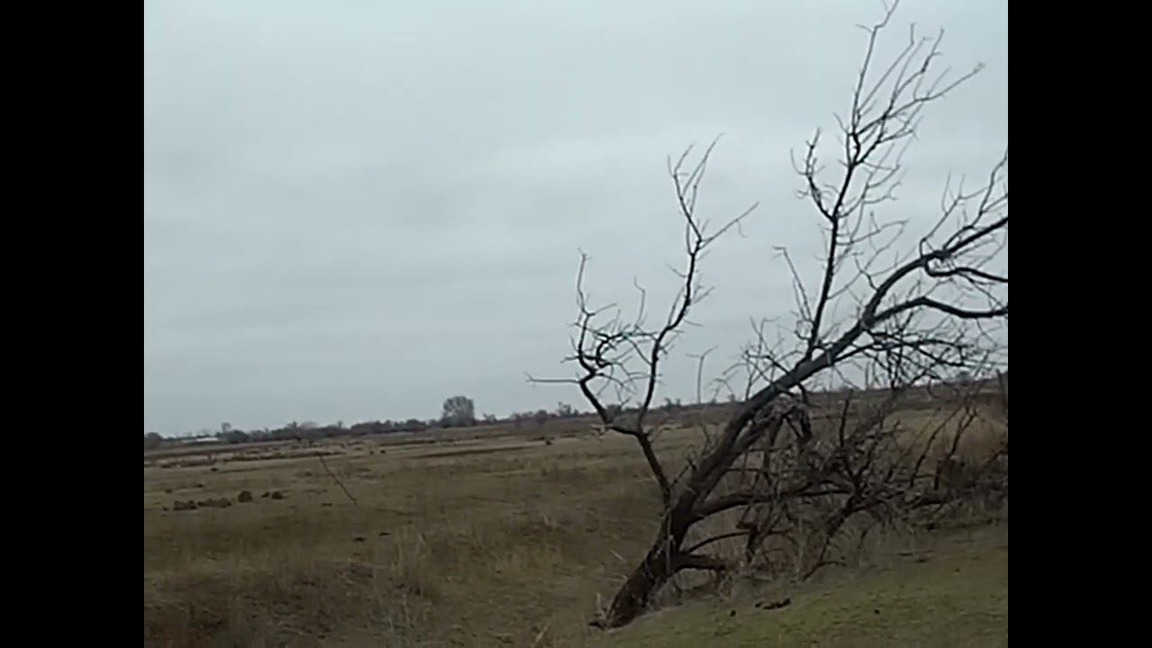 08.01.2025 ЧТО ДЕЛАТЬ? : ЛПХ В ОПАСНОСТИ