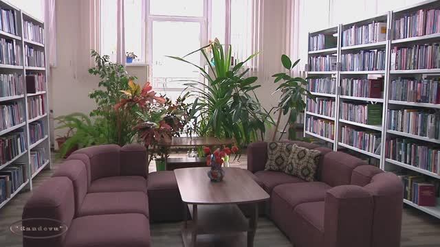 Библиотека центральная городская  имени Е.И. Аркадьева 1873 год .читальный зал