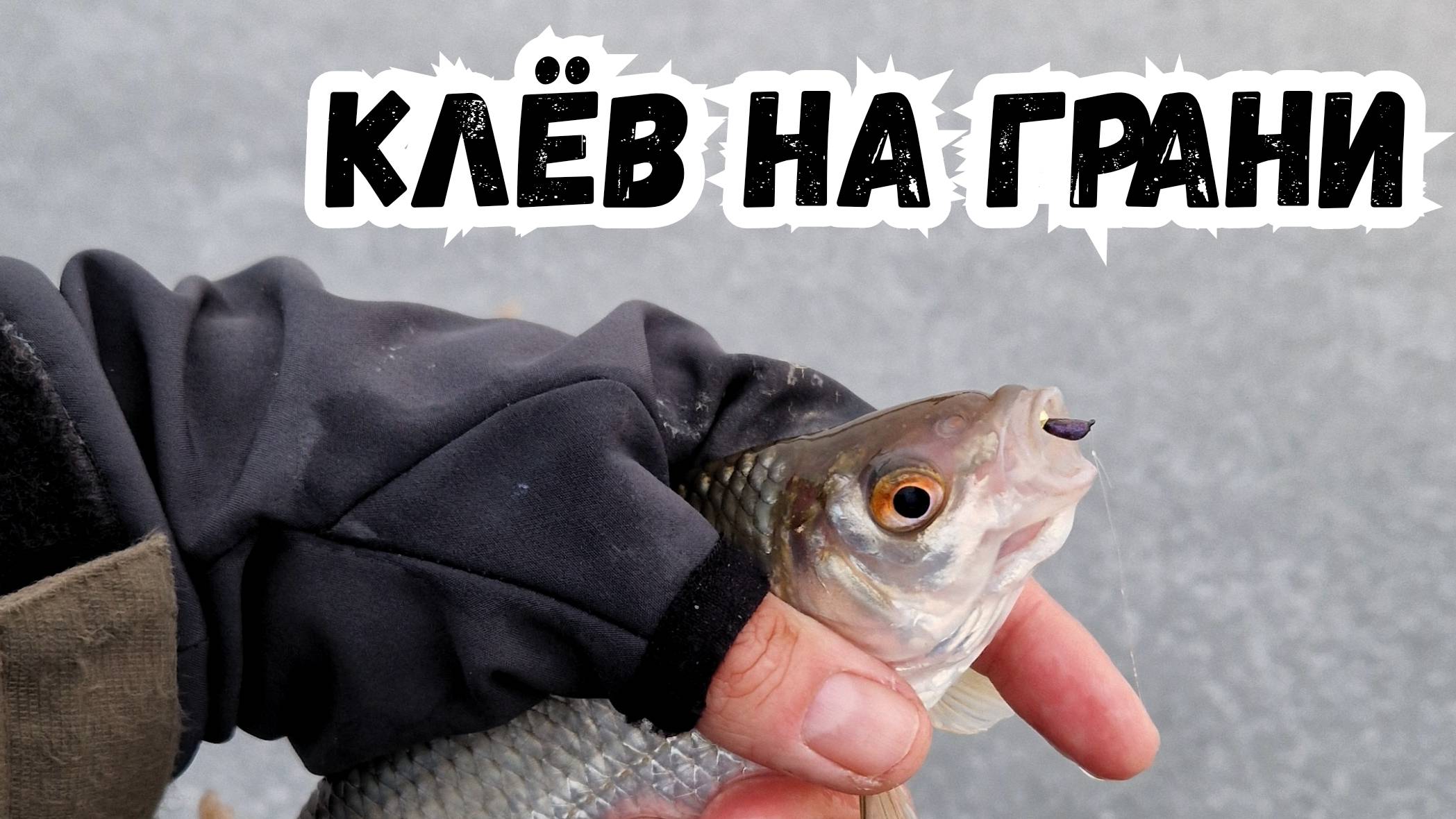 Безмотылка Космос Грань 045 разловлена