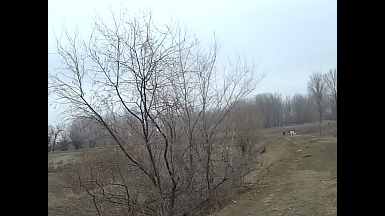 09.01.2025 ЧТО ДЕЛАТЬ? : ЛПХ В ОПАСНОСТИ