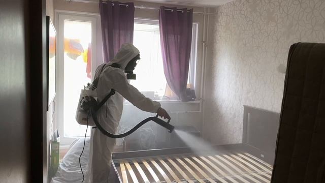 Дезинфекци, Дезинсекция от клопов в квартире в Москве