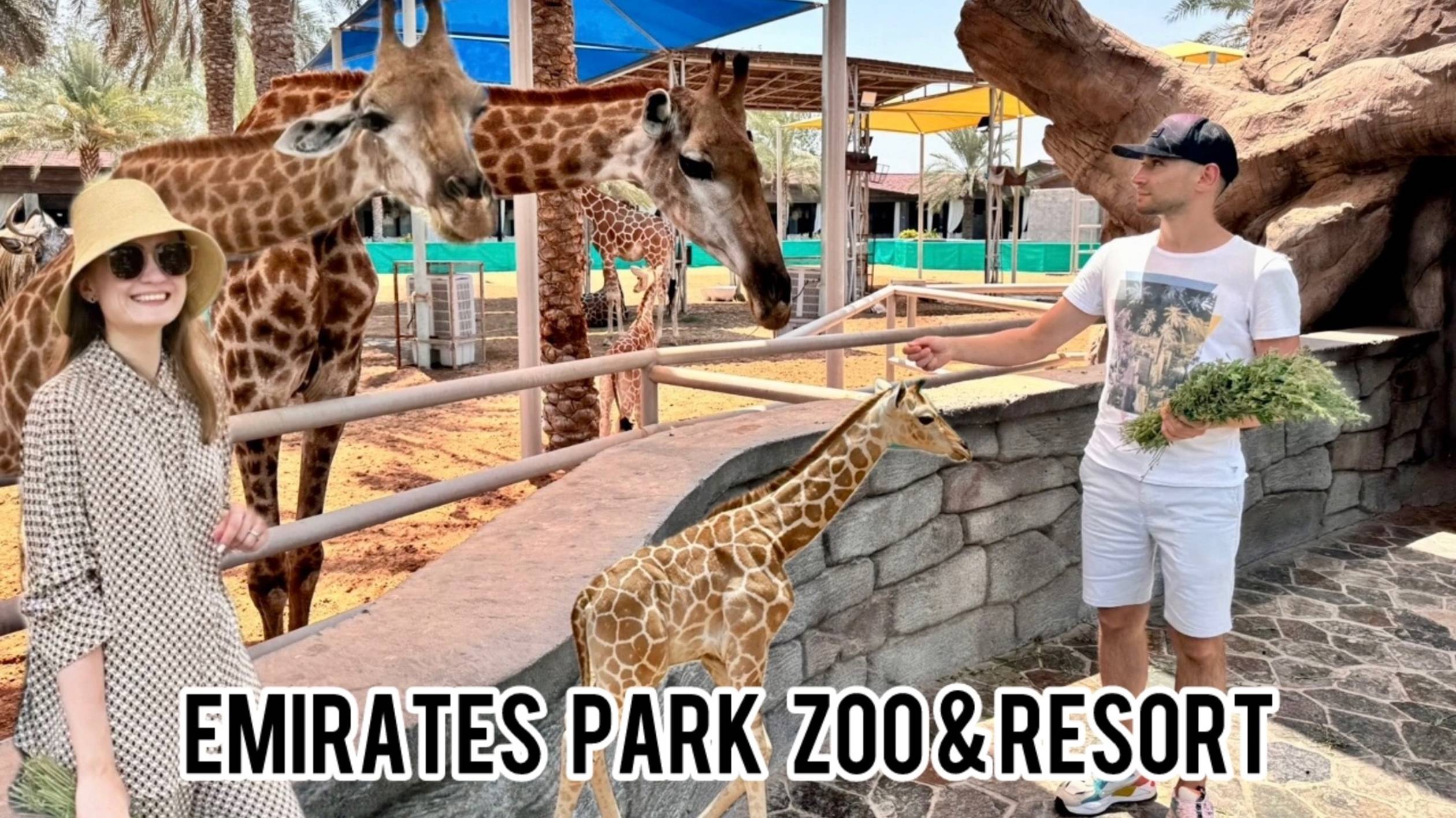 Кормим жирафов в Emirates Park Zoo and Resort | Зоопарк | Абу-Даби | ОАЭ | Капибара | Анна и Артём