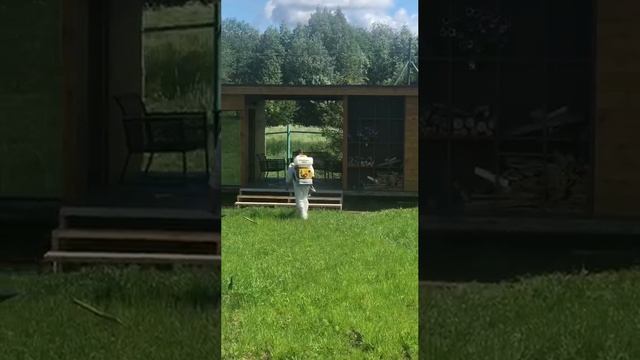 Обработка дачного участка от клещей и комаров: акарицидная обработка в Москве и области