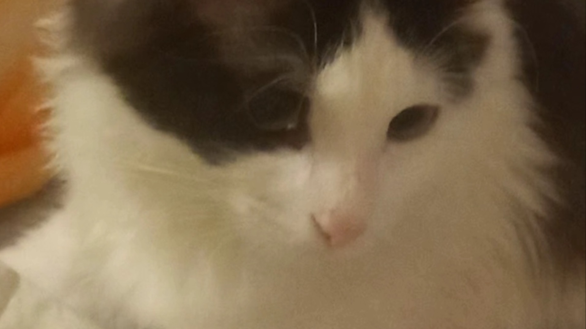 Малыш "кусакин" - 5 мес