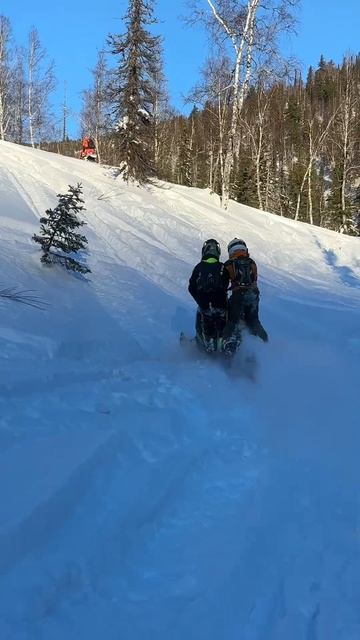 Что такое снегобратство!? И как быть если у вас нет денег на снегоход!?😆 #polaris #brp