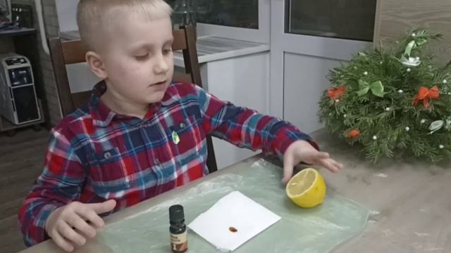 Новиков Дмитрий