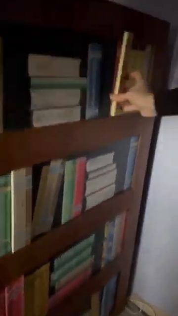 Оборудование "Книжные полки с корешками книг" для квеста "Уэнсдей"