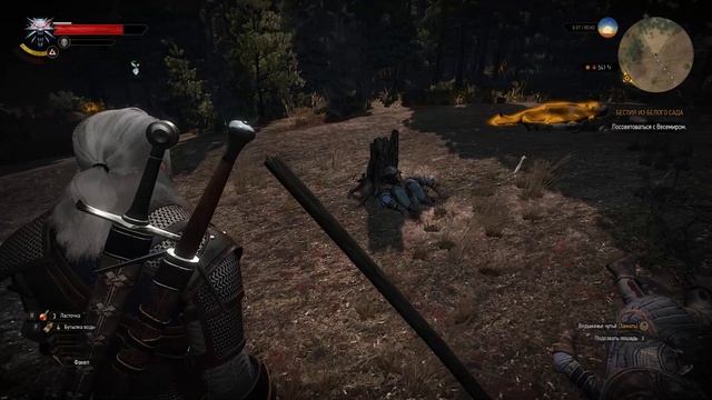 Ведьмак 3 Пропавший без вести № 6