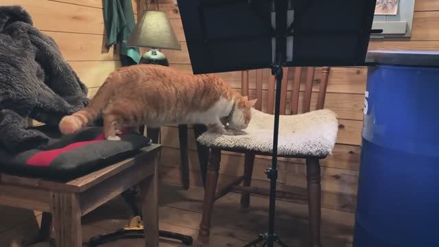 BRUCKE Relaxed Start to 2025 Projects, Nature, and Simple Living