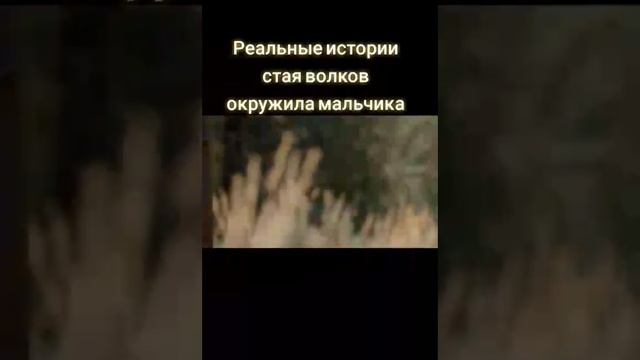 реальные истории