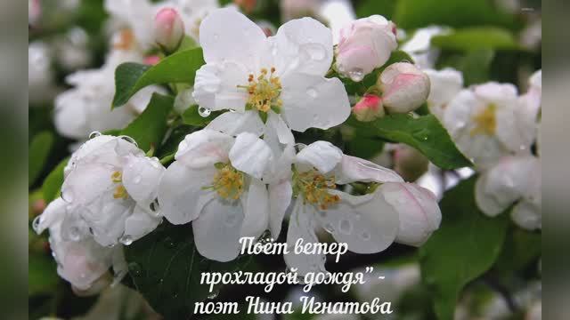 "ПОЁТ ВЕТЕР ПРОХЛАДОЙ ДОЖДЯ" - ПОЭТ НИНА ИГНАТОВА