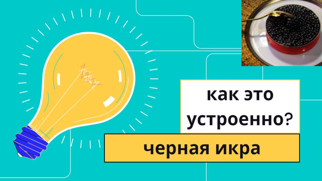 Тайны черной икры: от осетра до вашего стола