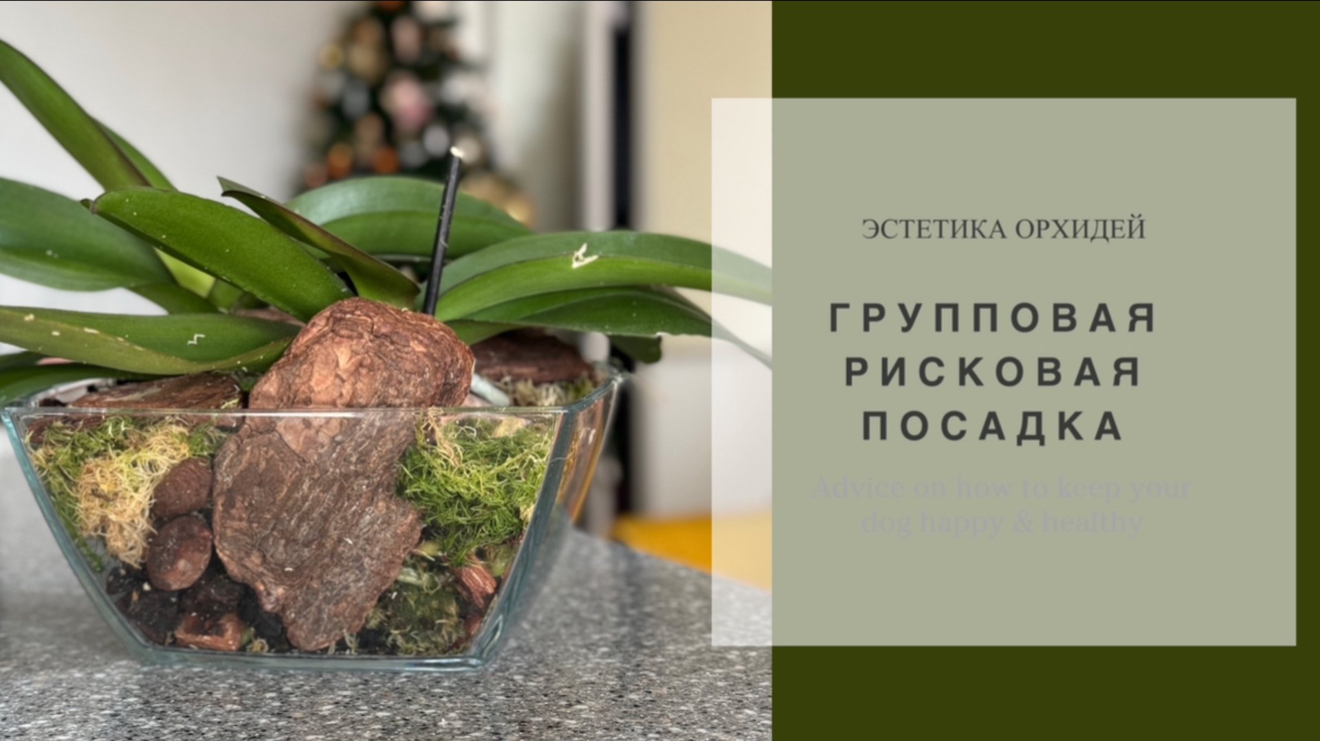 В последний раз делаю такую посадку