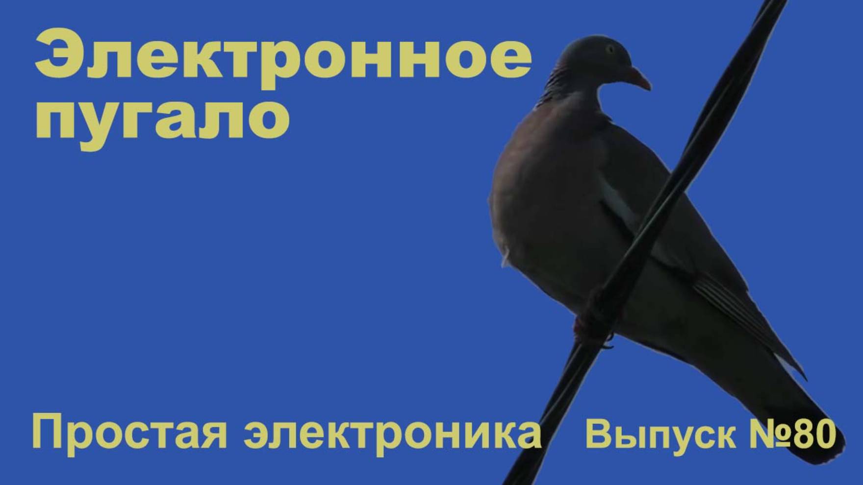 Простая электроника 080