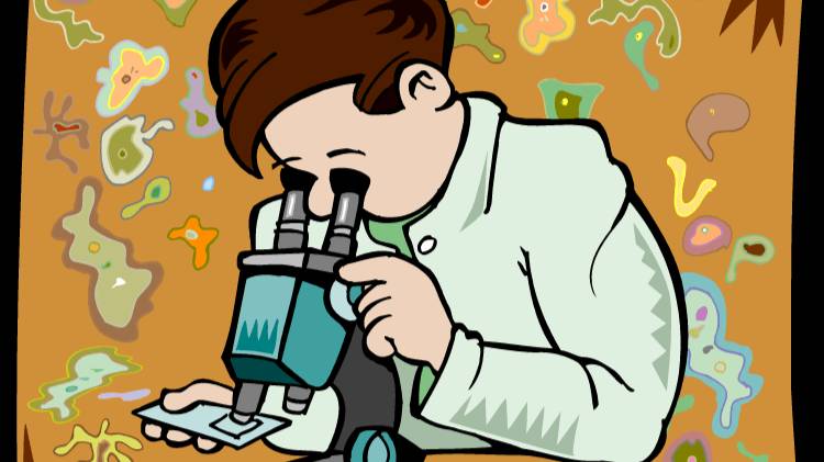 Как Под Микроскопом Выглядят обычные вещи.