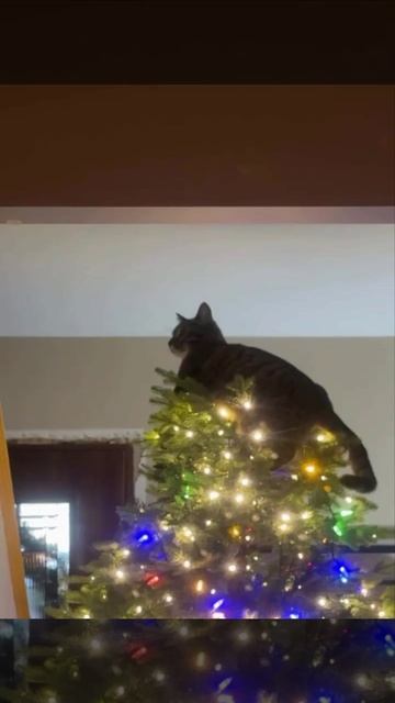 Правильное место