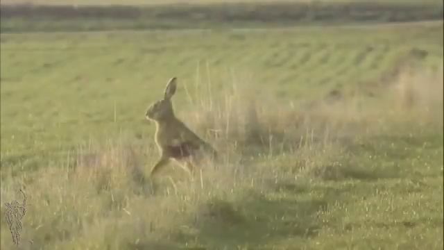 Student - Пробуждение весны